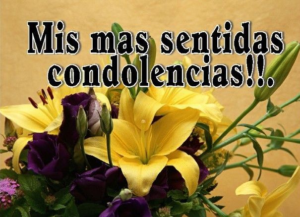 Tarjetas de Pésame con Flores 2 - IMÁGENES PARA WHATSAPP ® y Fotos para ...