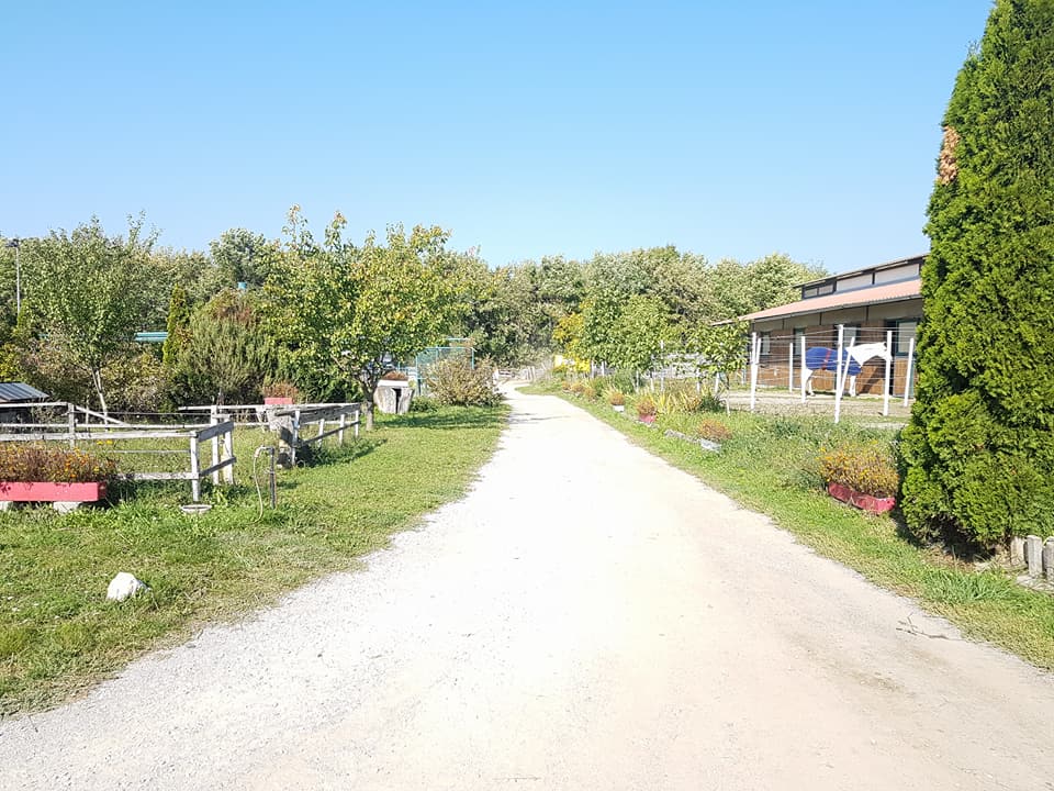 Reitstall Radl: Reitstall & Einstellbetrieb