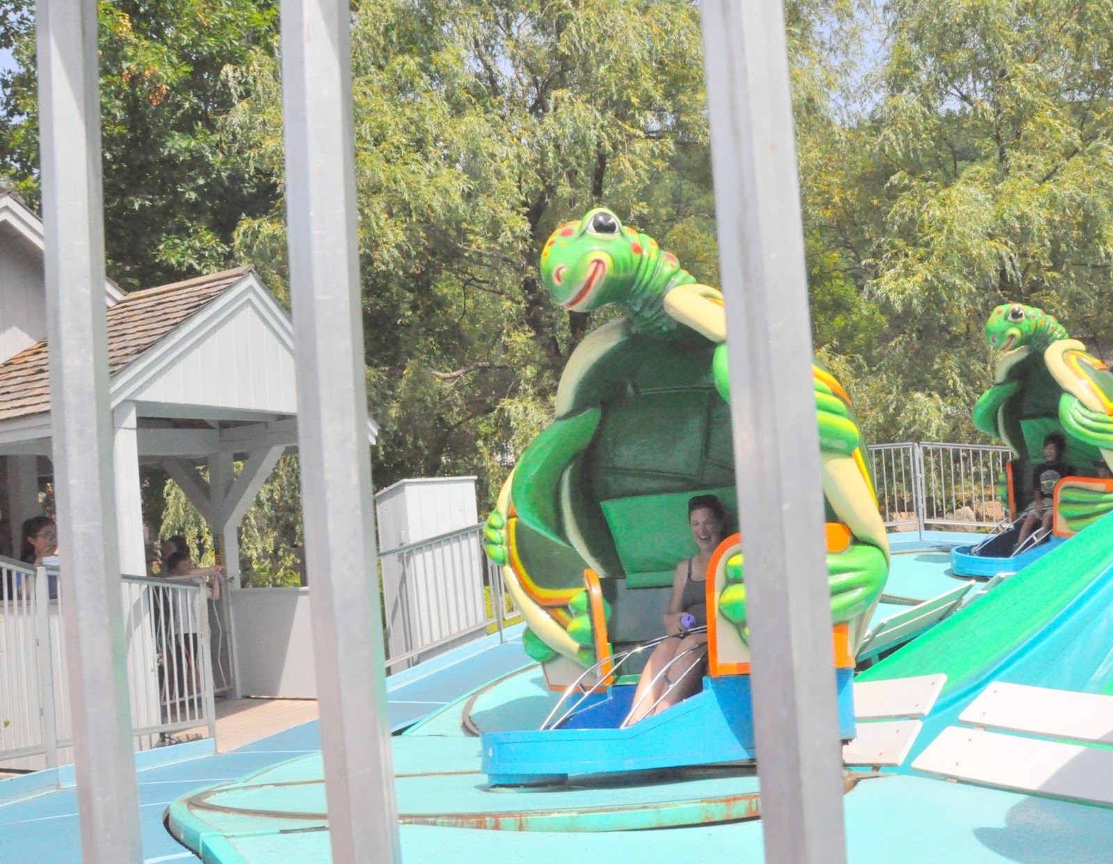 Pink Lady: Vacation With The Graham Fam