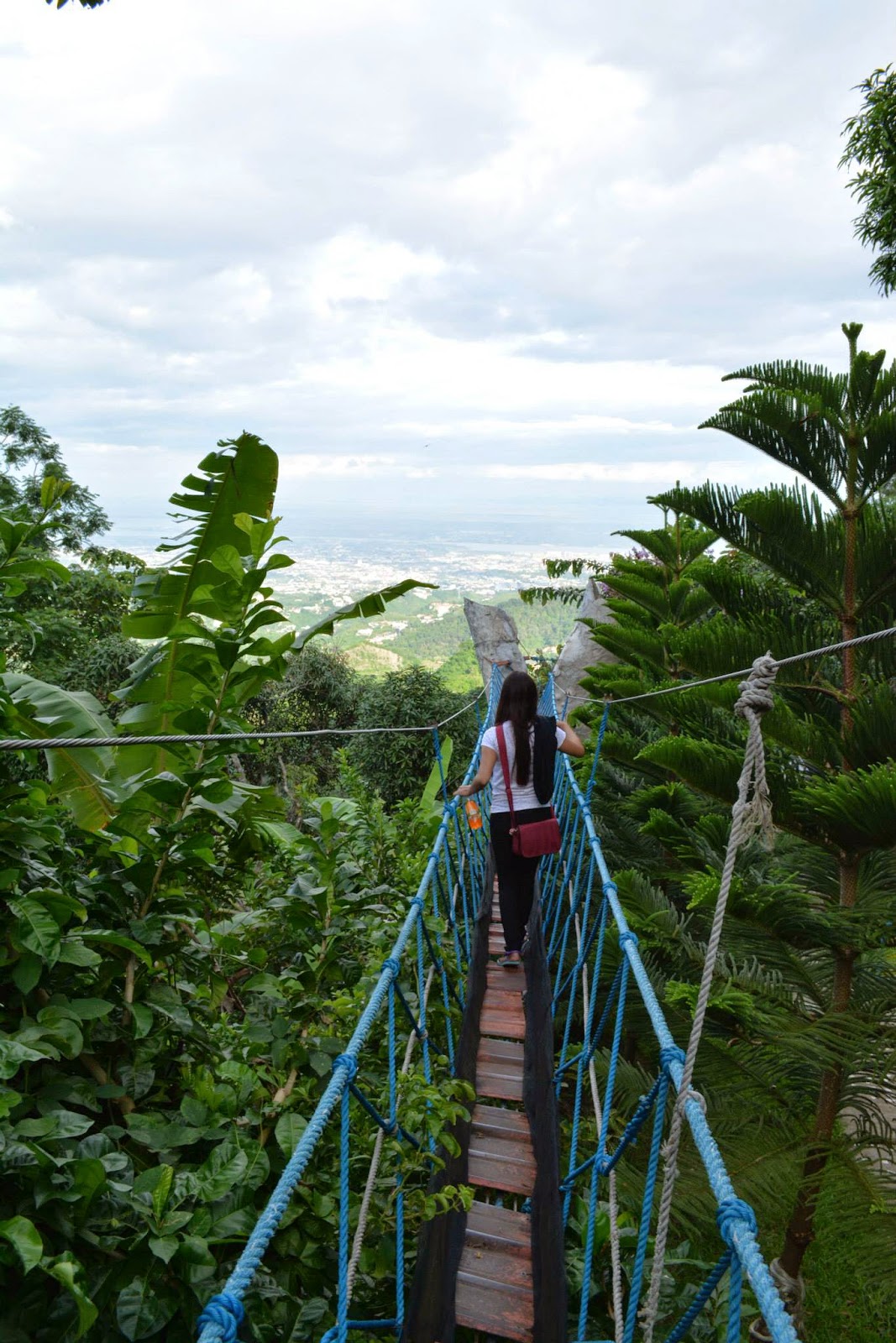 Local Wanderers: Travel: Tops to Mountain View Busay Adventure