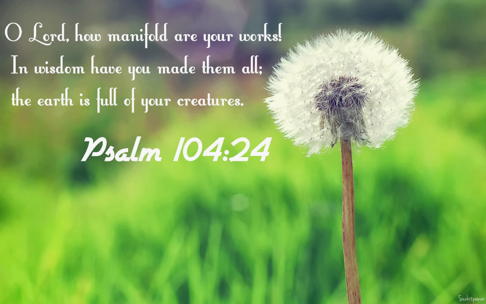 Word of God wallpapers HD