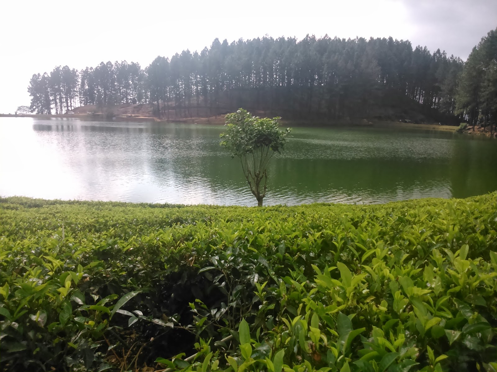 Travel around Sri Lanka: Sembuwatta Lake
