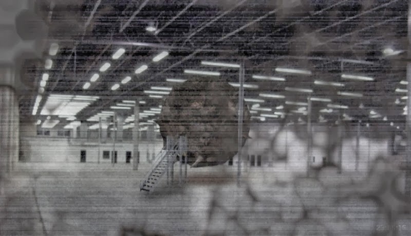 Góc kinh dị: SCP-001 và SCP-002