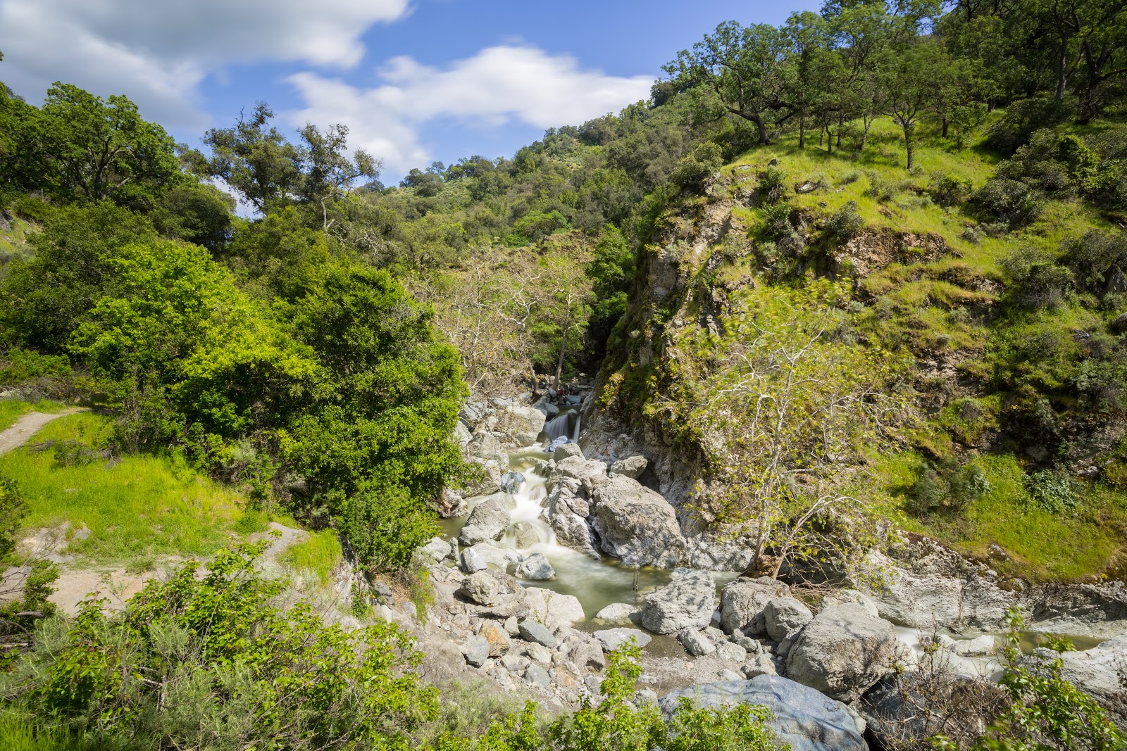 Naturetastic Blog: Sunol Regional Wilderness - Sunol, CA (Part 1)