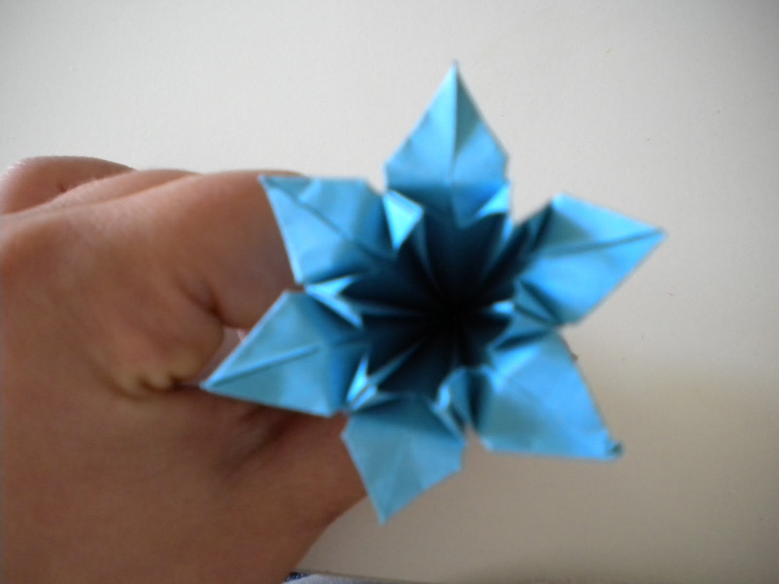 Geometric Fun with Flowers | Curious Charisma