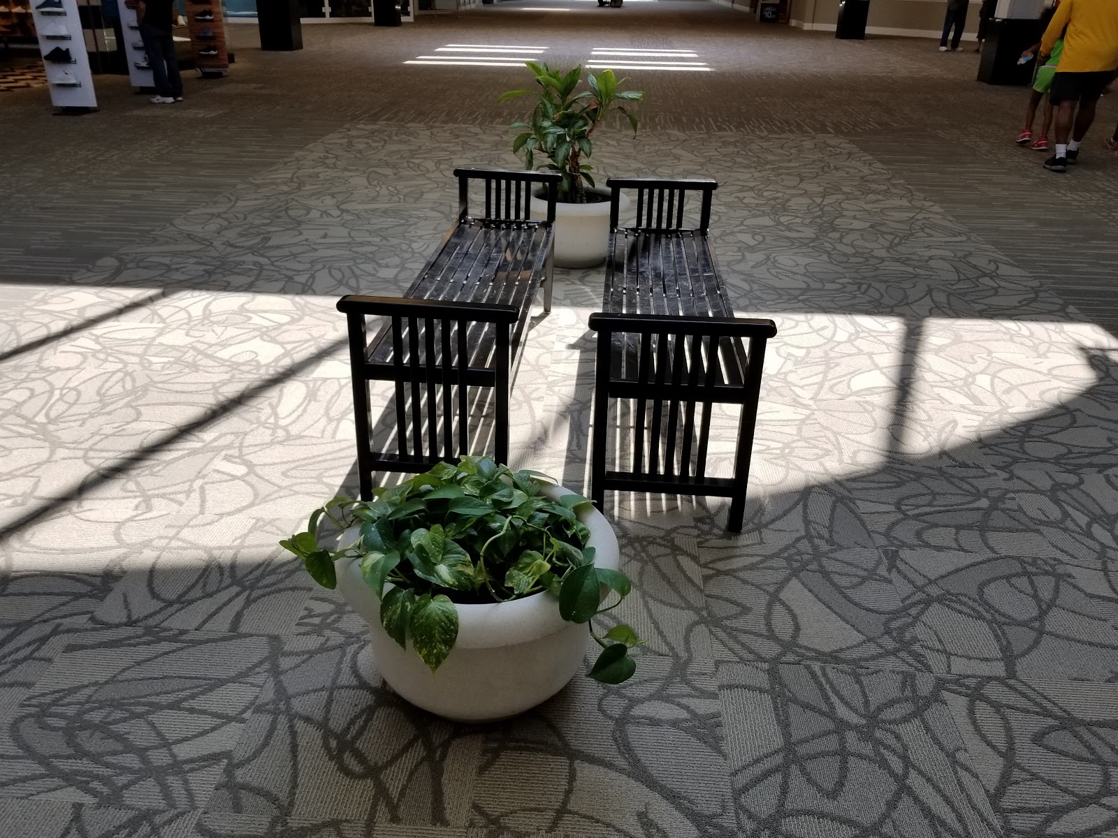 Dead and Dying retail