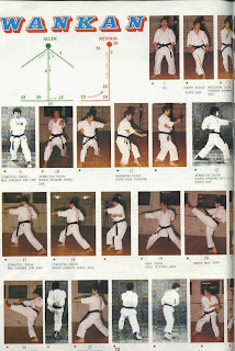 Isshin - Concentration the Art: Wankan katas Shotokan gift translation