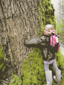 Hug-A-Tree Contest - NatureKidsBC