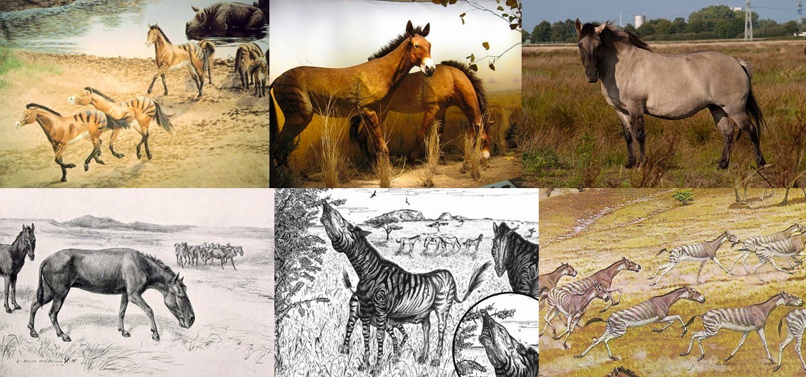 Palaeos, la historia de la Vida en la Tierra: ¿Cómo se dice? Primera parte