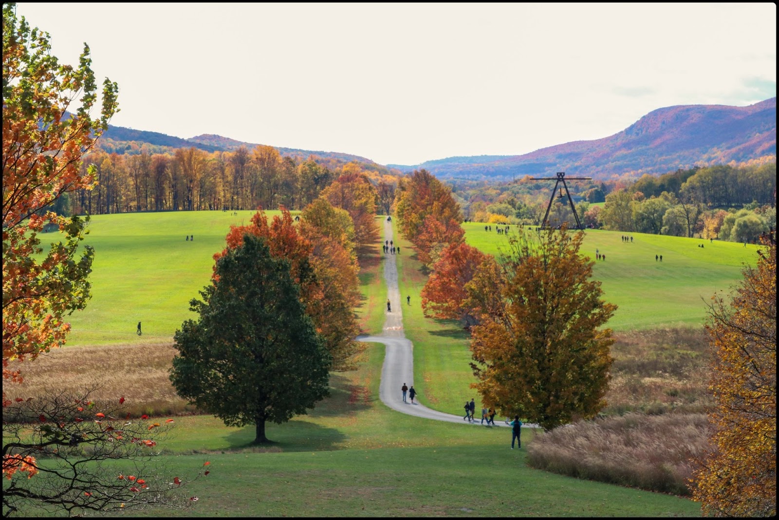 Curiosités et futilités à New York