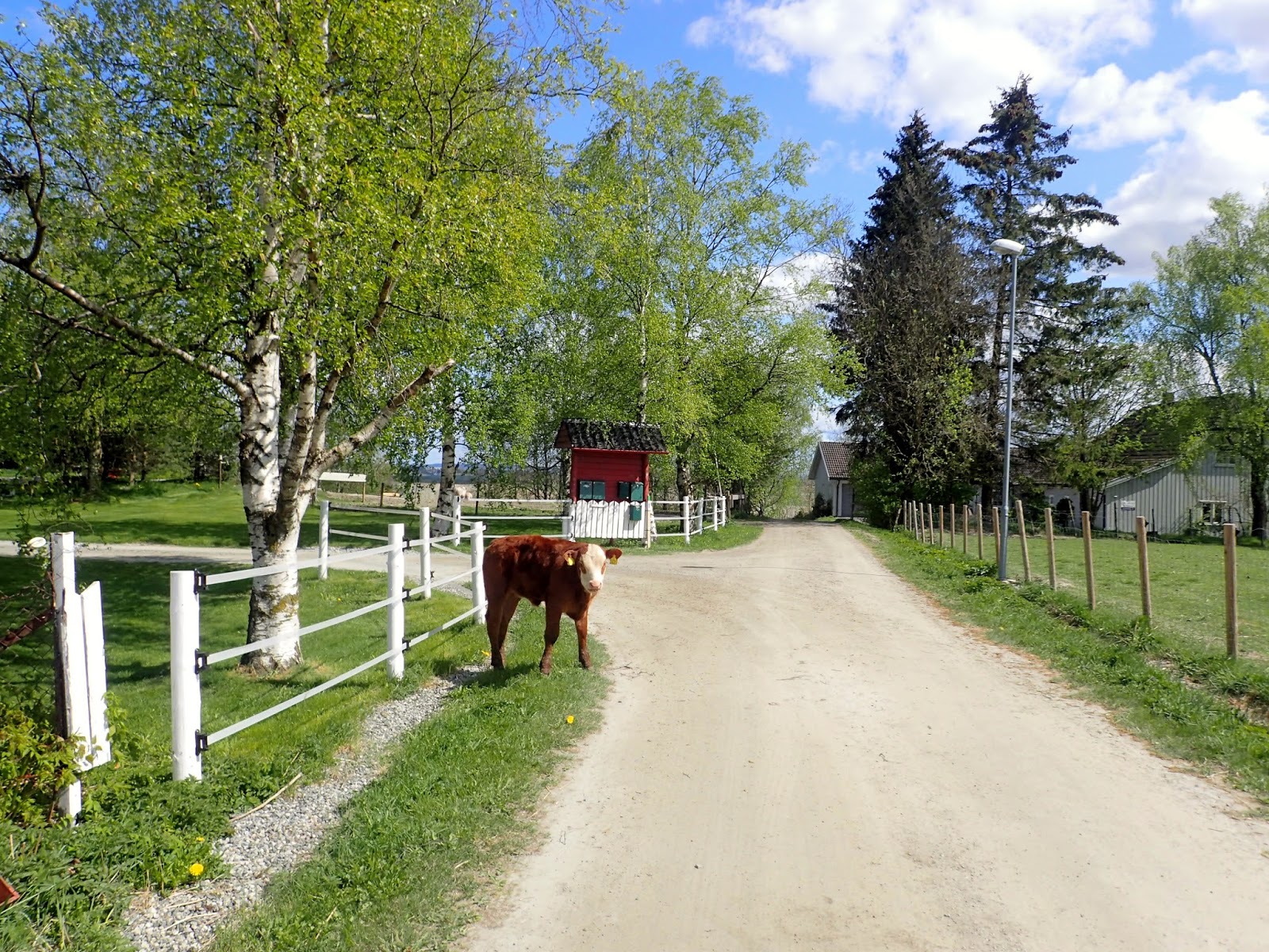 OptimistGammeln: "Sprek i Gjerdrum", årgang 3