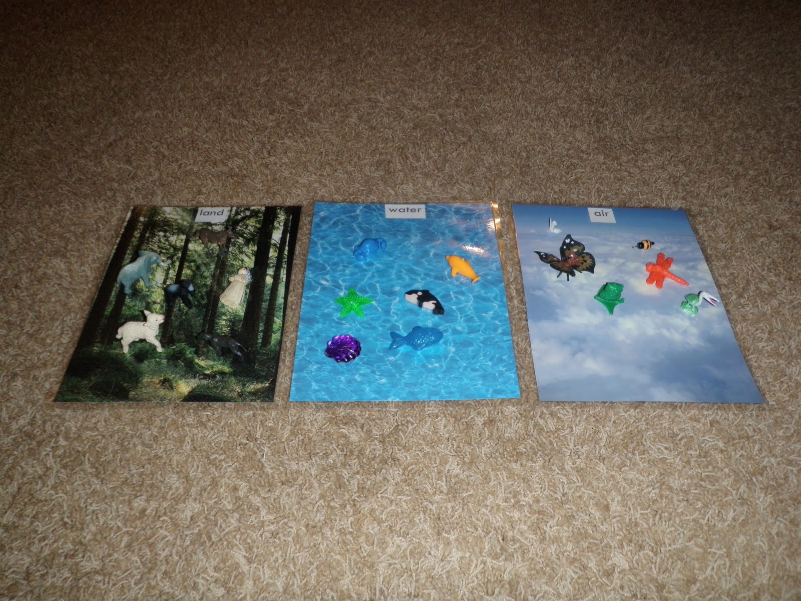 Montessori Design: Land Water Air Sorting