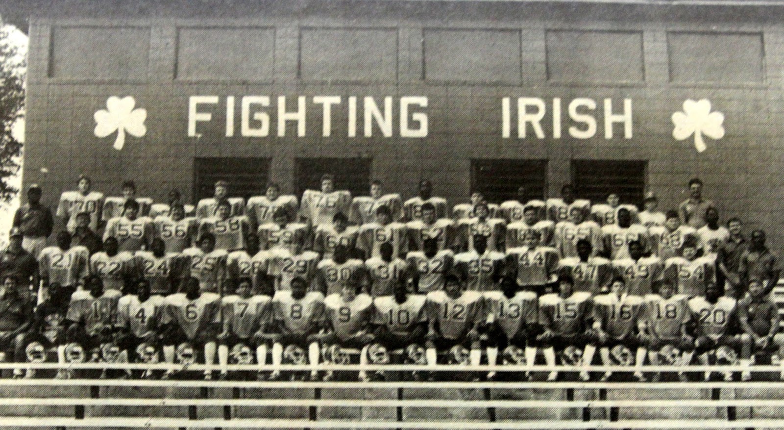 THE 1985 DUBLIN FOOTBALL IRISH