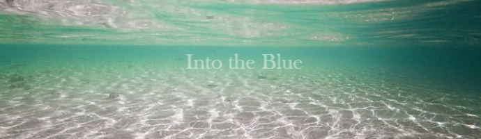 Into The Blue: Welcome to the Philippines
