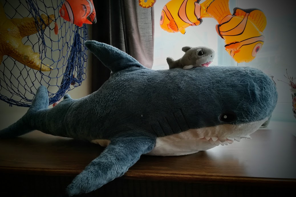 Bruce and Chum's Shark Spotlight