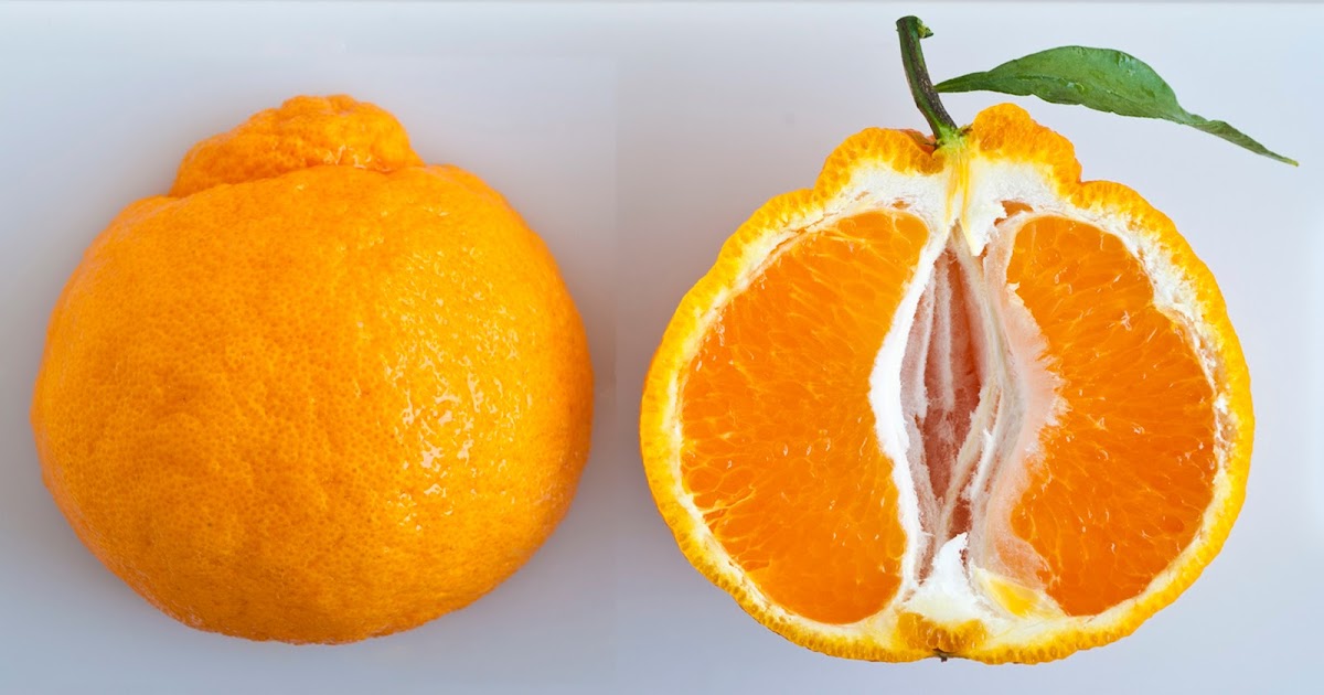 Plants For Sale: Dekopon Mandarin Orange