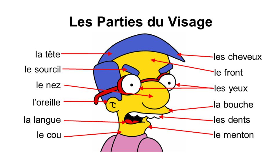 C'EST CHOUETTE: EXAMEN DE 1º DE ESO. LE VISAGE