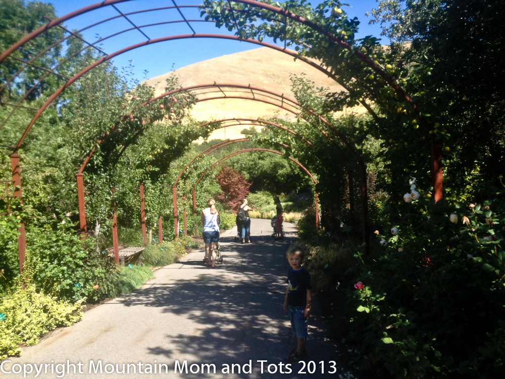 Red Butte Gardens, Salt Lake City, Utah - Mountain Mom and Tots