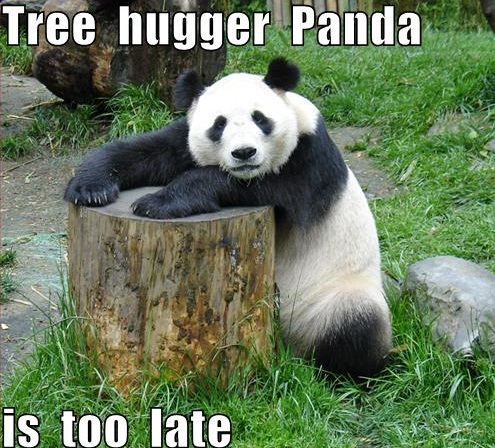 Funny Panda « Funny World