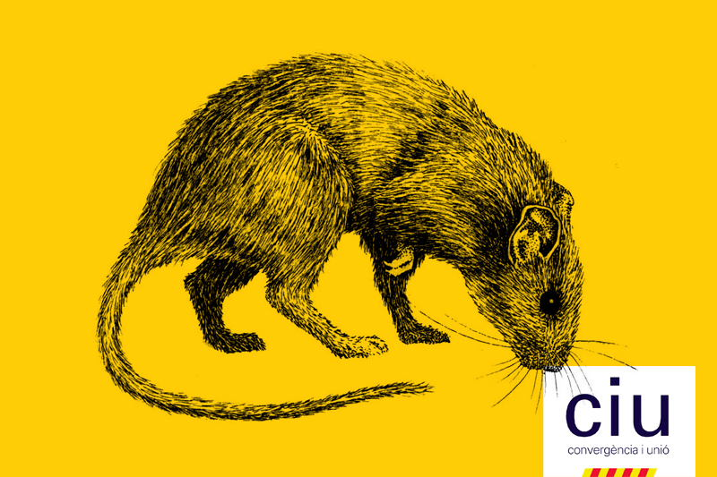 unmundofeliz: Ratas políticas / political rats