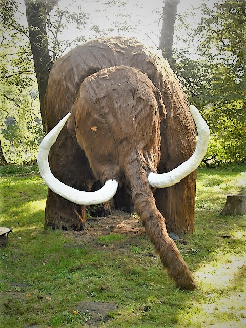 WWW Wiersze Wycieczki Wspomnienia: Mamut w Muzeum Archeologicznym w ...
