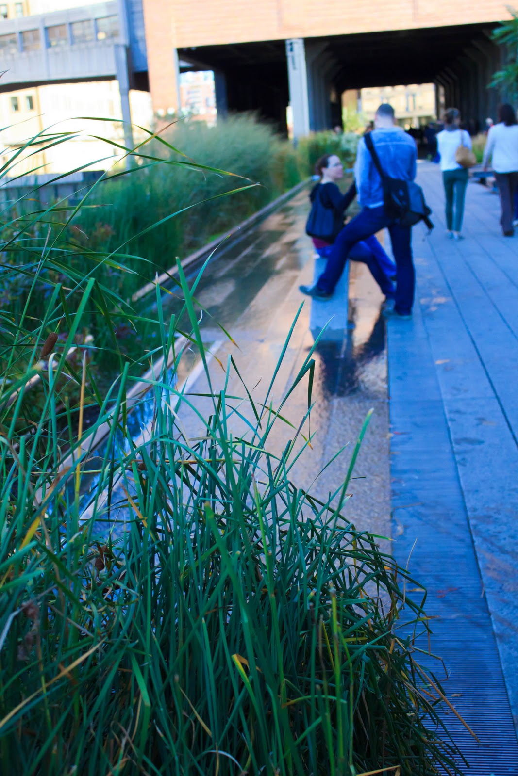 angenuity: The best NYC discovery: The Highline