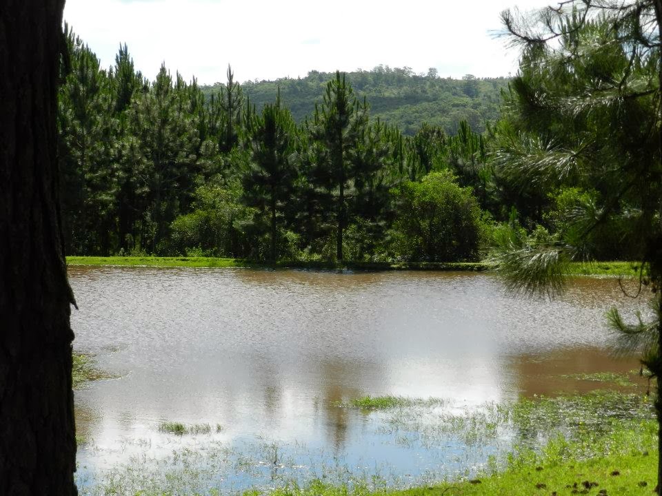 Sítio Panamar - Turismo Rural e Café Colonial - Pelotas,RS: Visite o ...