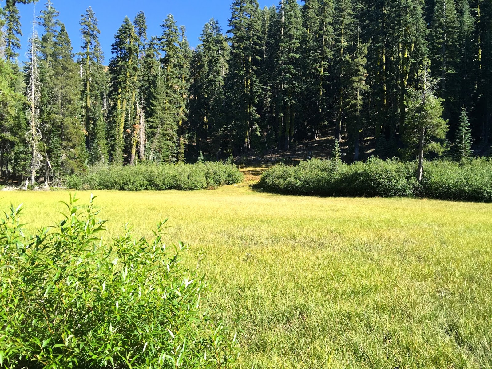 Island Lake - Grouse Ridge