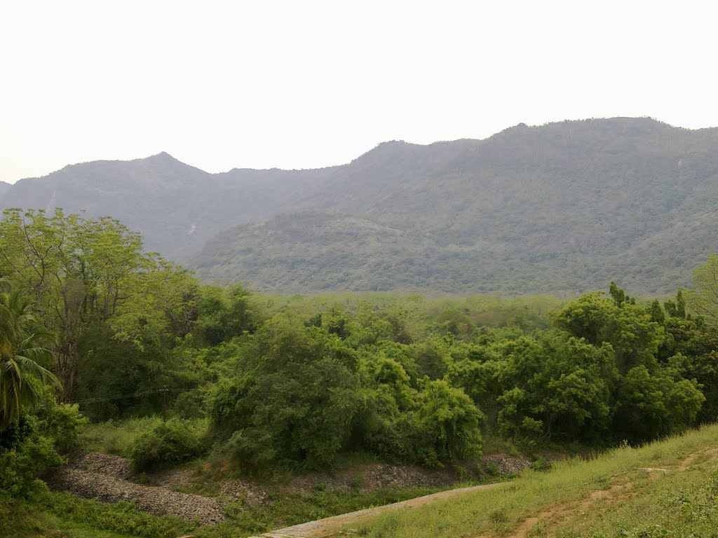 Tamilnadu Tourism: Pilavakkal Dam, Vathirairuppu (Watrap), Virudhunagar