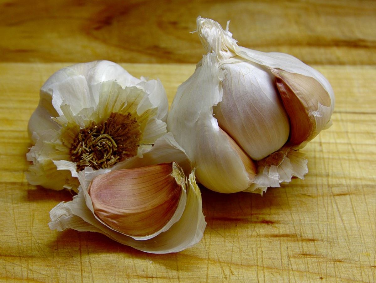 Kuvablogi: Valkosipuli