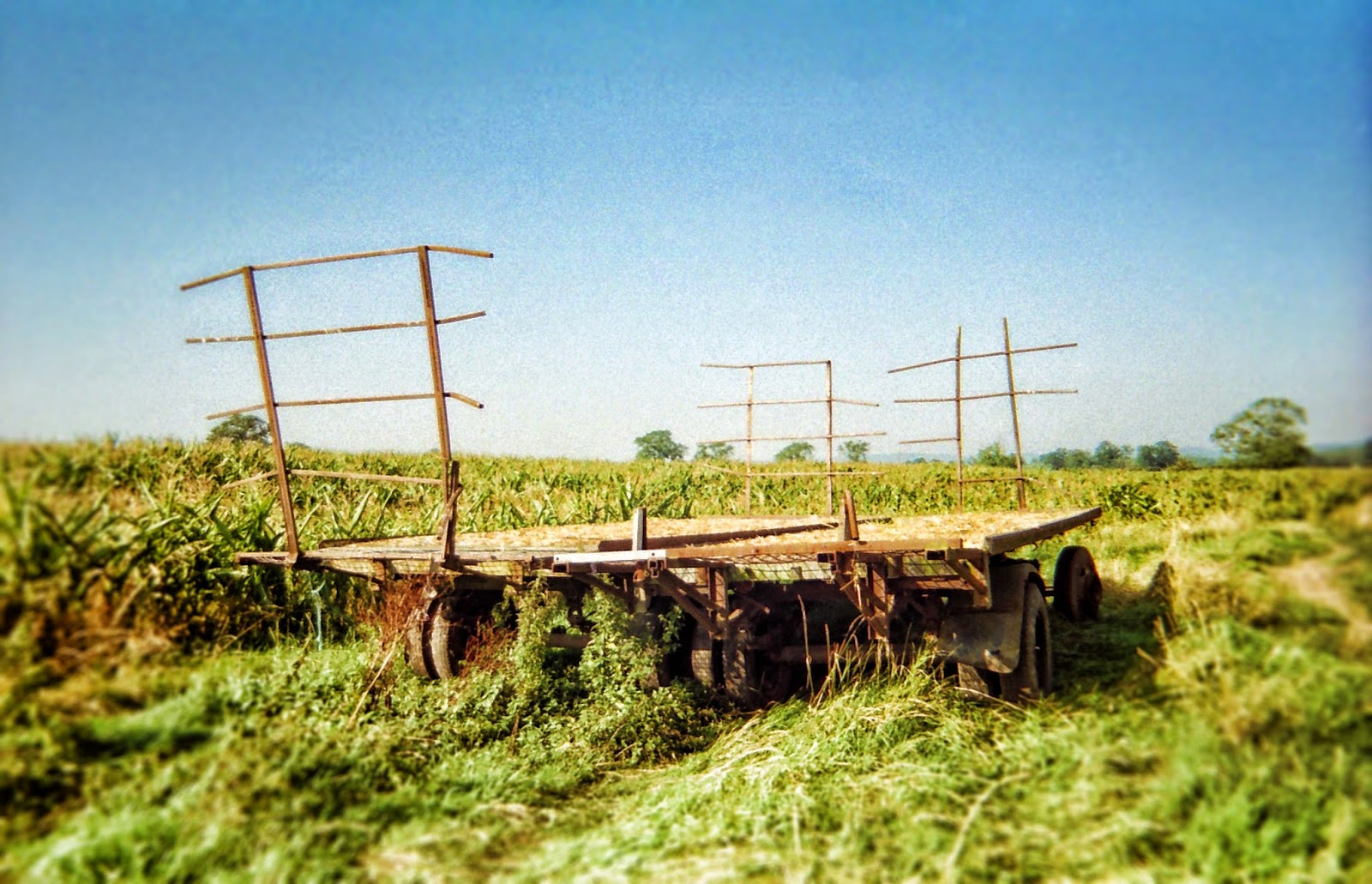 COTSWOLDS CASCADE: RUSTY HAY CART