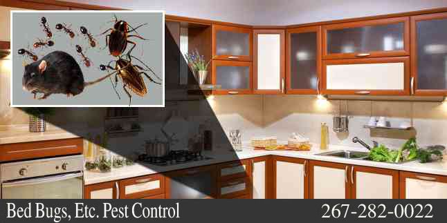 Bed Bugs, Etc. Pest Control