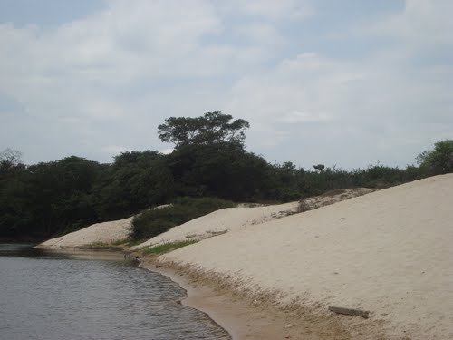 Nina Rodrigues e Região: Sintese da História de Nina Rodrigues-Ma