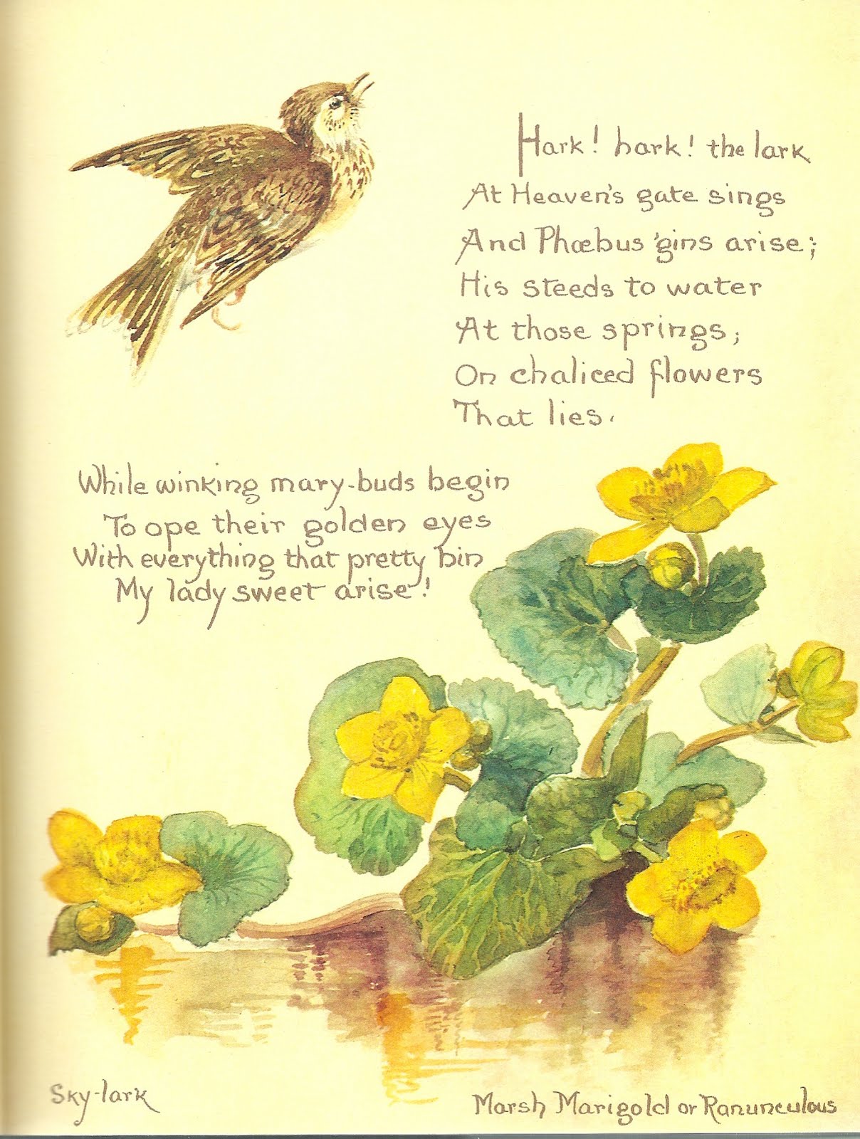 Dirt Balls: April - The Nature Notes of an Edwardian Lady - Edith Holden