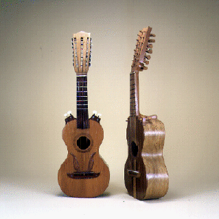 INSTRUMUNDO Instrumentos Musicales: Guitarrón Chileno