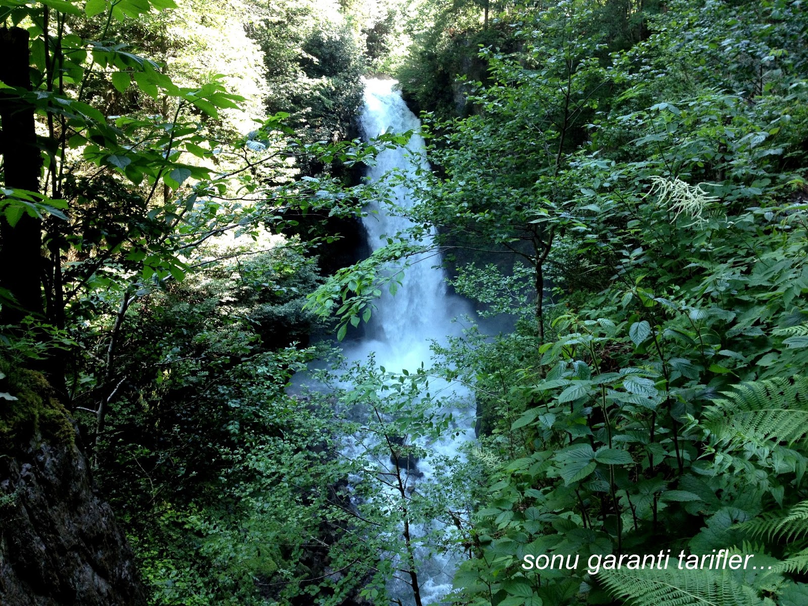 Sonu garanti tarifler....: KARADENİZ TURU-RİZE/FIRTINA/AYDER YAYLASI...