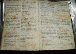 This ain't your mama's dinner!: Messy cookbook | Authentic Belgian ...