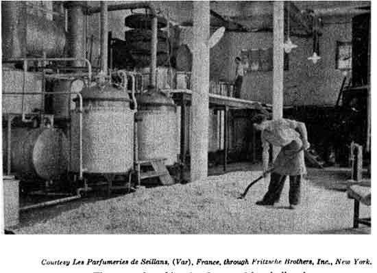 Apparatus of Extraction-EXTRACTION WITH VOLATILE SOLVENTS