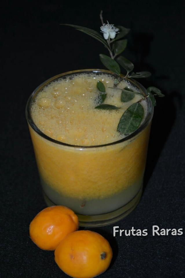 Eugenia pyriformis - Uvaia-piriforme, Uvaia, Uvalha, Uvalha-do-campo