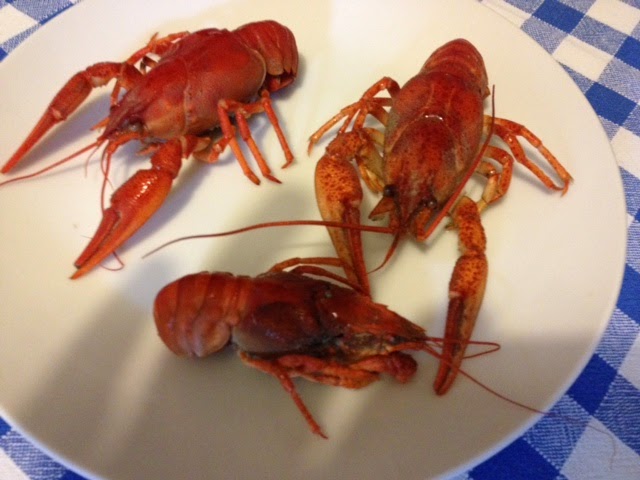 Rainbow in the dark: Raci....."the raci"!!! Adica mancare din balta ;)