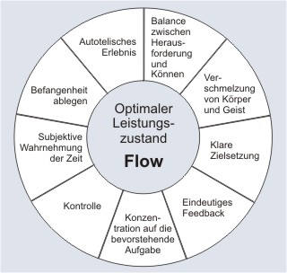 EQ-Blog: Gedankliche Annäherung an den Flow-Zustand
