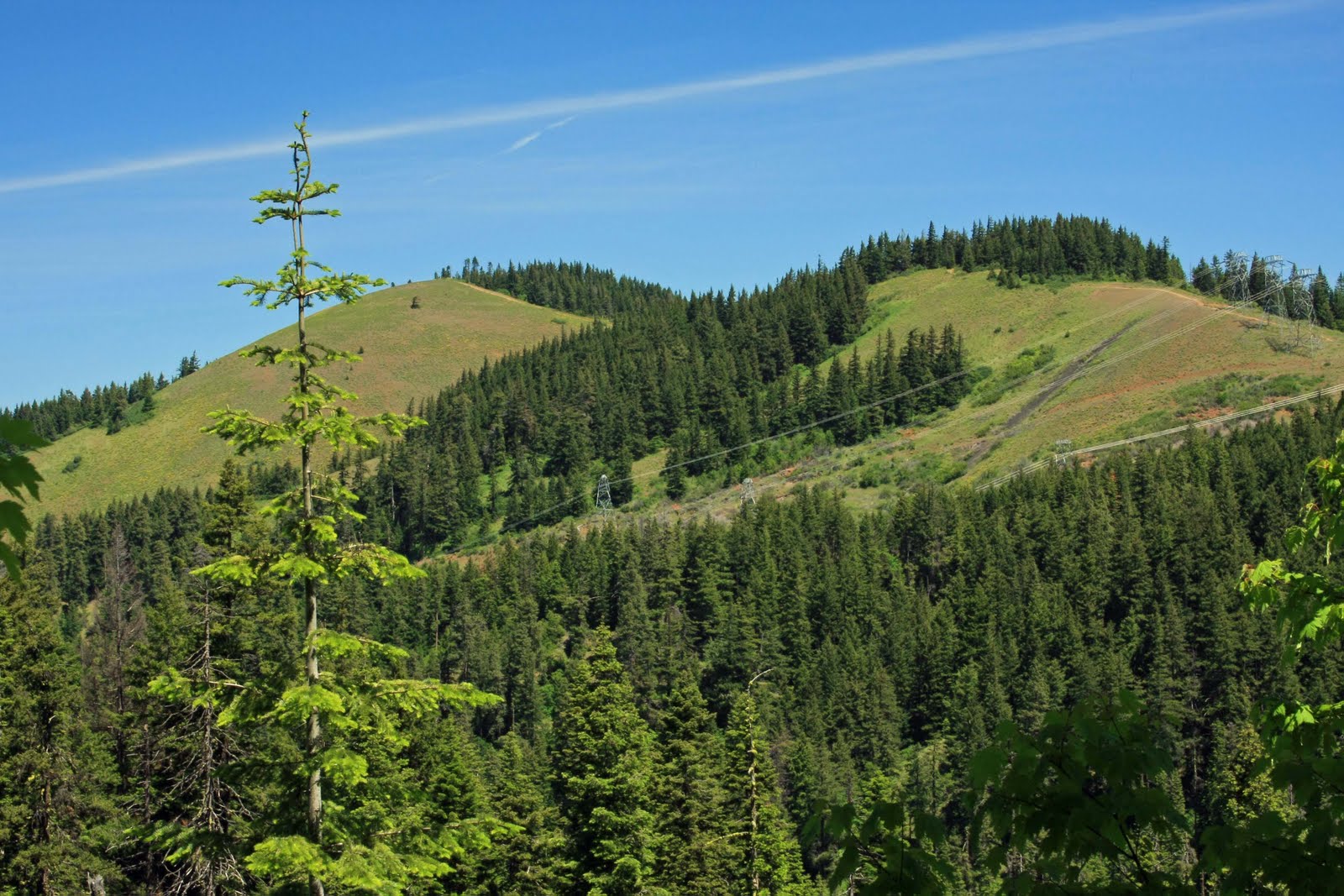 Linda's Lens: Bald Butte