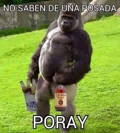 No saben de una posada poray