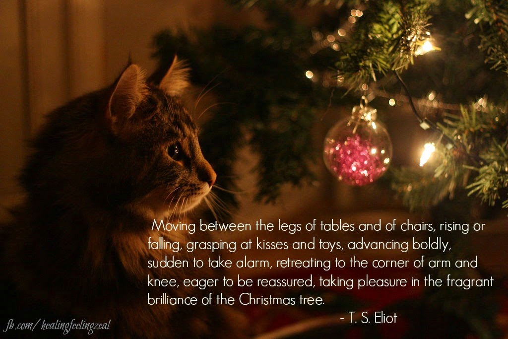 alxindia: 25 Christmas quotes that will warm your heart...