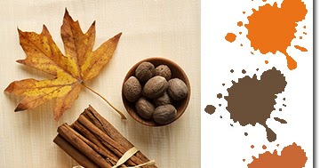 Color Throwdown: Color Throwdown #514