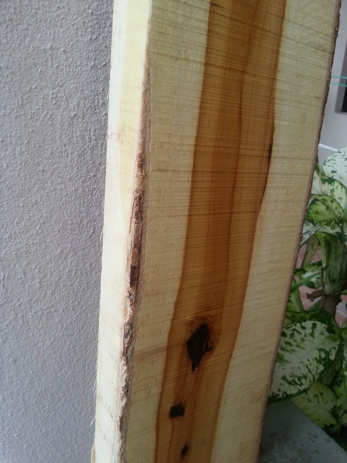 Kayu Warisan Malaysia: Kayu kemuning emas untuk dijual