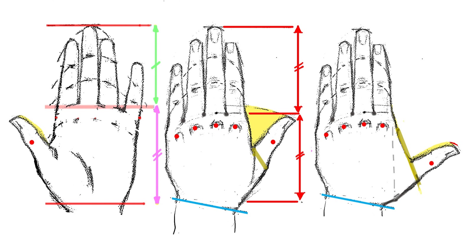 Winter 2018 Étude de la forme humaine A) // Drawing the Human form A ...
