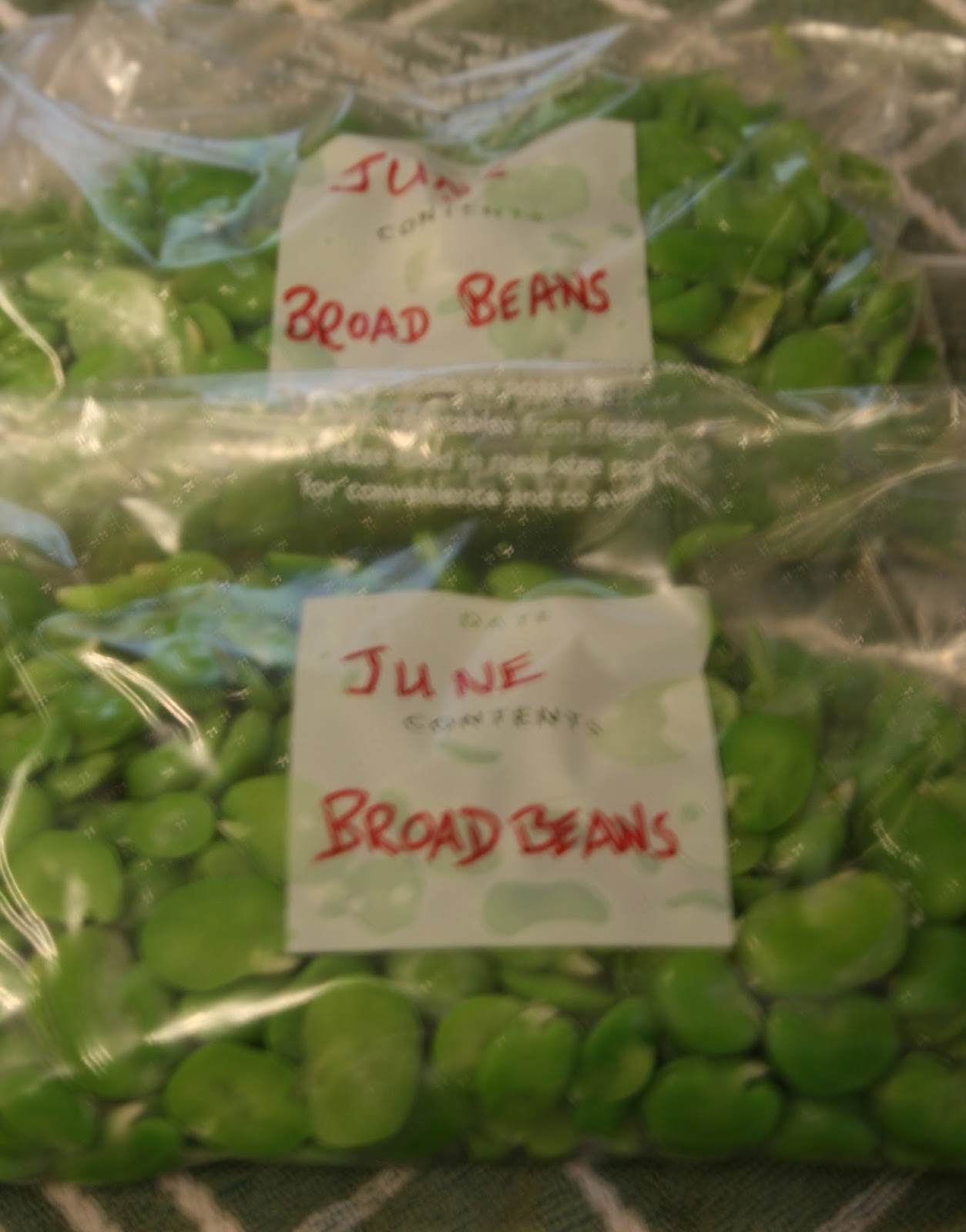 Allotment: From Plan to Plot to Platter