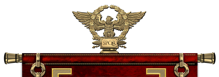 Military Insignia 3D