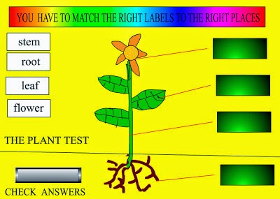 Arts and Science at School: "Parts of a Plant" (Game)